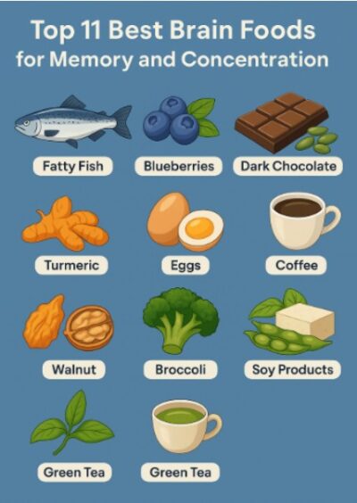 The Best Foods to Improve Memory and Concentration